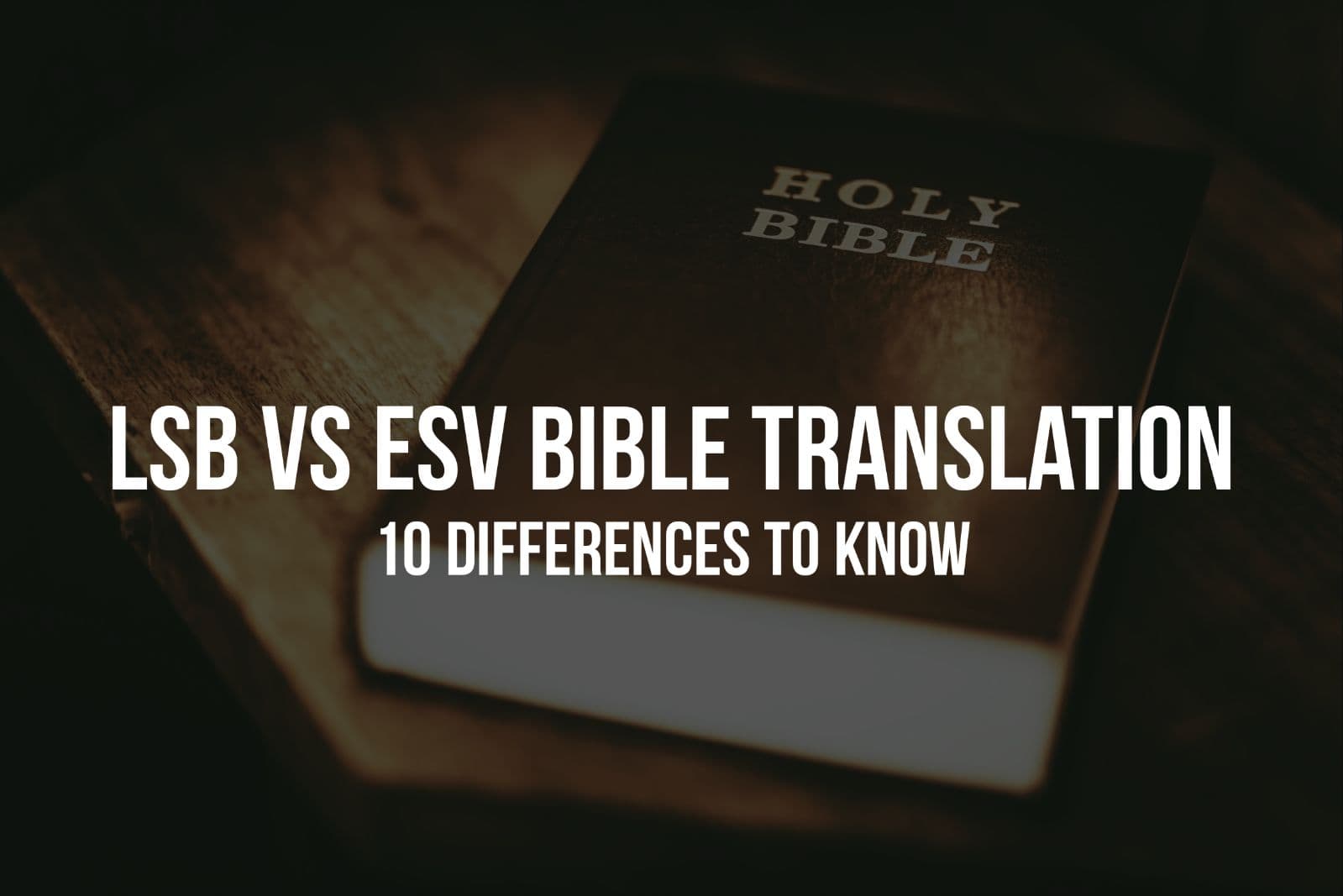LSB Vs ESV Bible Translation (10 Differences To Know)